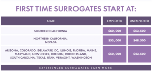 How Much Do Surrogates Make? - Compensation & Variable Factors