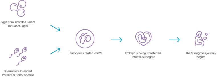 How Surrogacy Works: Steps of Gestational Surrogacy | PS